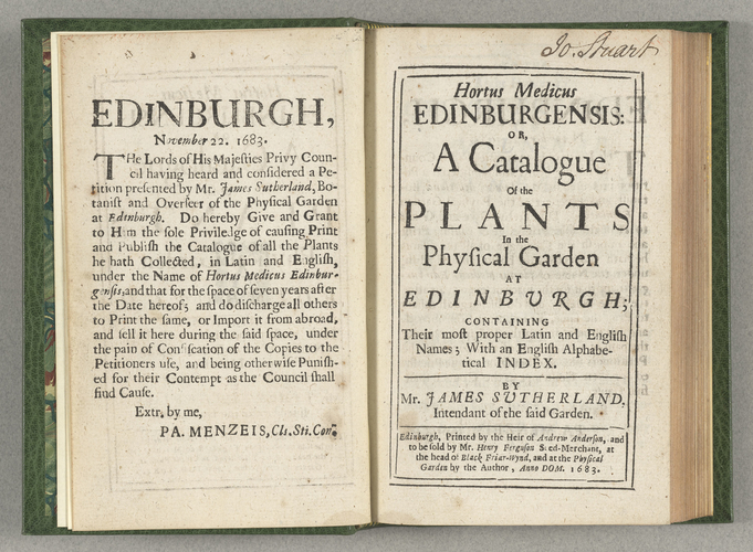 Holyrood’s herbal hospital